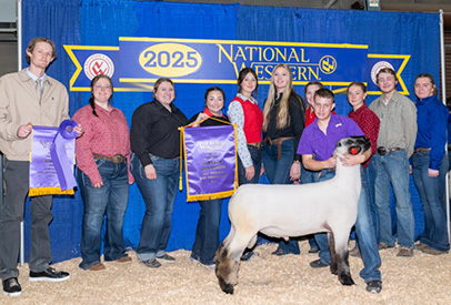 High Noon Feeds | 2024 Major Winners