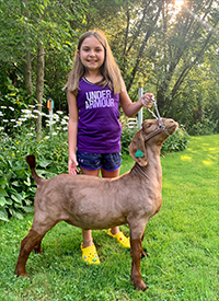 High Noon Feeds | 2020 State Winners