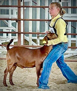 High Noon Feeds | 2020 State Winners
