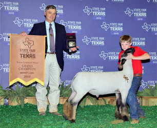 High Noon Feeds | 2015 State Winners